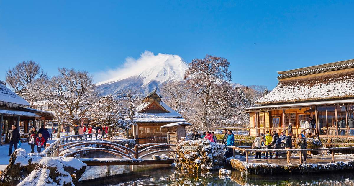 Excursión de un día al Monte Fuji con hermosas vistas y fotos｜Alimentación de cisnes en el Lago ...